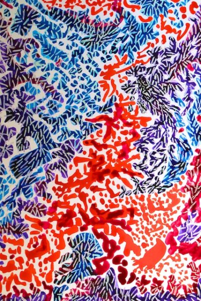 The Sound of Fireworks | Polly Castor Art